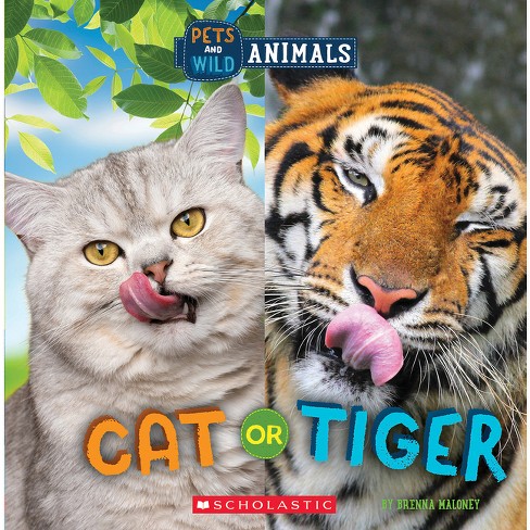 Cat Or Tiger (wild World: Pets And Wild Animals) - By Brenna Maloney ...