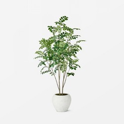 72" Artificial Ficus Tree - Threshold™ Designed With Studio Mcgee : Target
