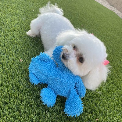 Mighty Microfiber Ball Monster Dog Toy - M : Target