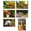Best Paper Greetings Wild Animal Postcards – 40 Postcards – Bulk Set ...