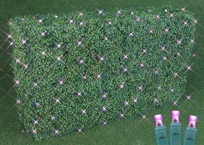 Northlight 4' X 6' Led Wide Angle Net Lights Raspberry - Green Wire ...