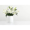 Fresh Cut White Oriental Lily Flowers - 30 Stems : Target