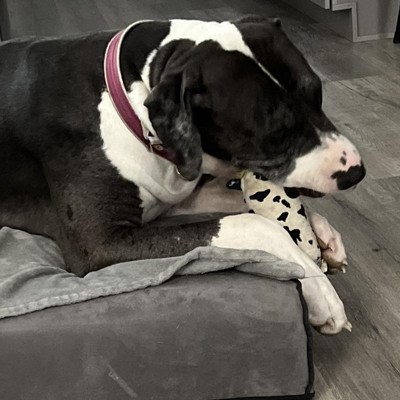 Bark Super Chewer Cow Dog Toy - Mad Cow : Target