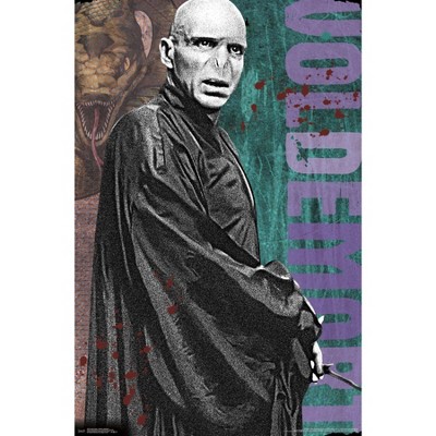 Trends International The Wizarding World: Harry Potter - Voldemort with ...