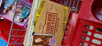 Pressman Unsolved Case Files: Jamie Banks Game : Target