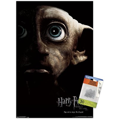 Trends International Harry Potter - Deathly Hallows - The Brothers ...