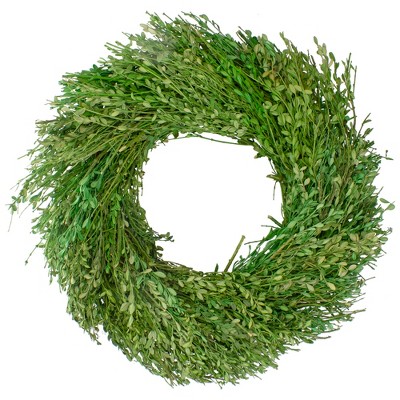 Northlight Green Foliage Artificial Spring Wreath, 20-inch : Target