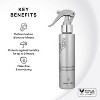 Kenra Platinum Texturizing Mist 6 | Texture Defining Spray | Boosts ...