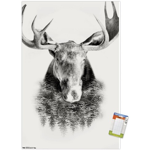 Trends International Moose - Trees Unframed Wall Poster Prints : Target