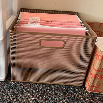 10" X 14" X 13.25" Mesh Crate File Box - Brightroom™ : Target