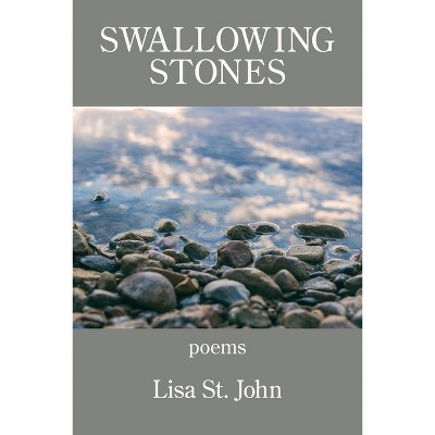 Swallowing Stones - By Joyce Mcdonald (paperback) : Target