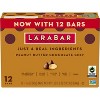 Larabar Peanut Butter Chocolate Chip Protein Bar - 19.2oz/12ct : Target