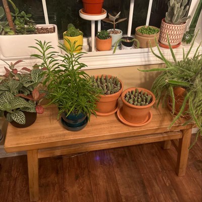 Thatcher Wood Bench - Threshold Designed With Studio Mcgee™ : Target