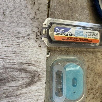 Raid Max Liquid Ant Baits - 4ct : Target