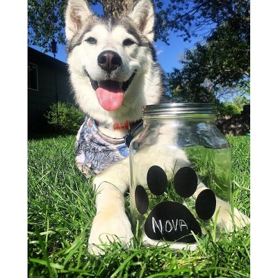 Amici Pet Buddy Paw Chalkboard Medium Glass Treats Storage Canister ...