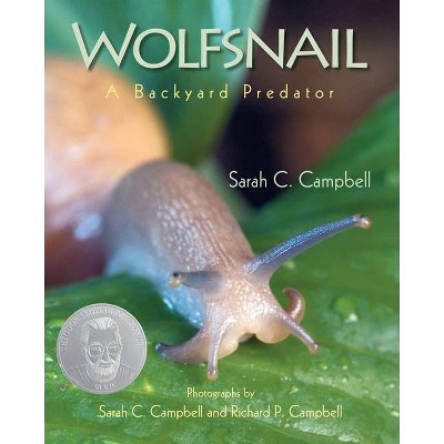 Patrones Crecientes (growing Patterns) - By Sarah C Campbell (paperback ...