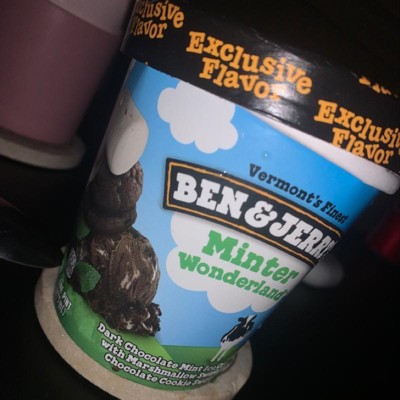 Ben & Jerry's Minter Wonderland Dark Chocolate Mint Ice Cream - 16oz ...