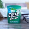 Extra Refreshers Mint Gum Mix Sugar Free Chewing Gum 40-piece Bottle ...
