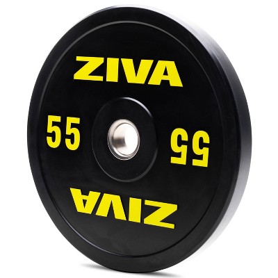 Sunny Health & Fitness Elite Olympic Bumper Weight Plate 55lbs - Red ...