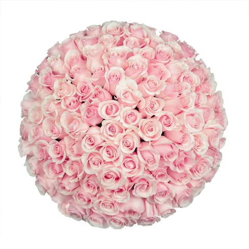 Fresh Cut Pink Roses - 100 Stems : Target