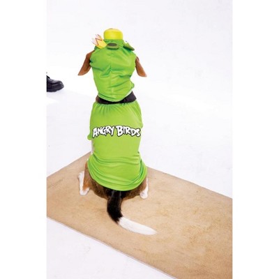 Angry Birds King Pig Pet Costume : Target