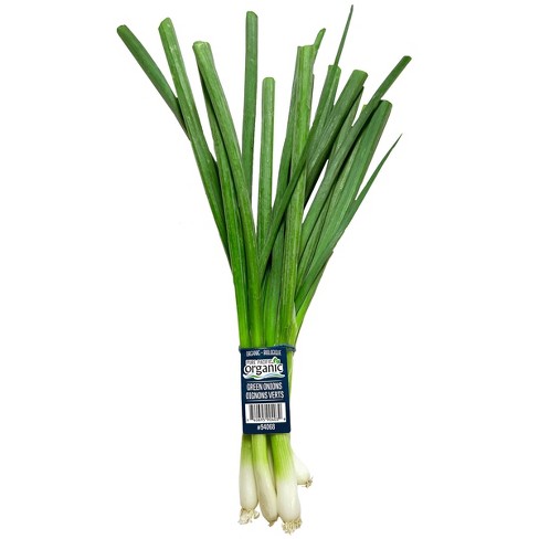 Organic Green Onion Bunch - 5.5oz : Target