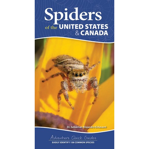 Spiders Of The United States & Canada - (adventure Quick Guides) By ...