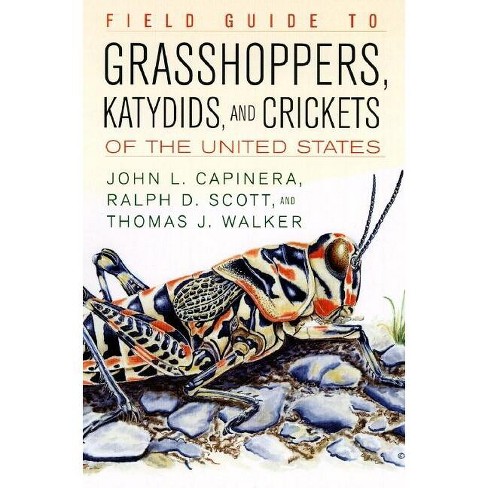 Field Guide To Grasshoppers, Katydids, And Crickets Of The United ...