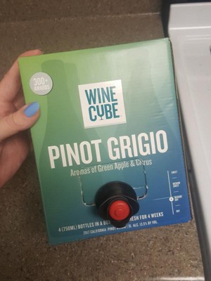 Pinot Grigio White Wine - 500ml Carton - Wine Cube™ : Target