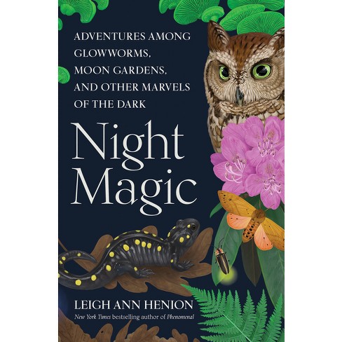 Night Magic - By Leigh Ann Henion : Target