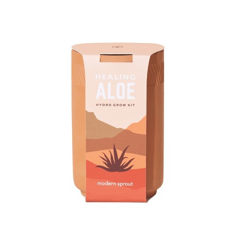 Modern Sprout Healing Aloe Succulent Seed Starter Kit (pack Of 6) : Target