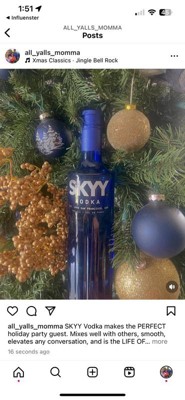 Skyy Vodka - 1.75l Bottle : Target