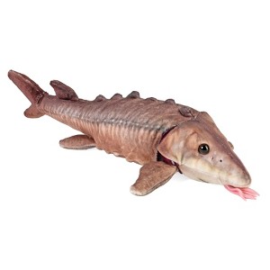 Wild Republic Living Ocean Mini Sturgeon, Stuffed Animal, 12 inch ...