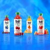 Bai Kula Watermelon Antioxidant Water - 18 Fl Oz Bottle : Target