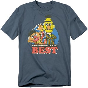 Men's Sesame Street Bert & Ernie Friendship Level Best T-Shirt, Slate ...