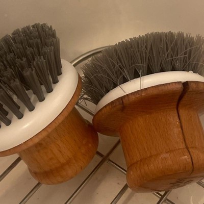 Palm Brush - Everspring™ : Target