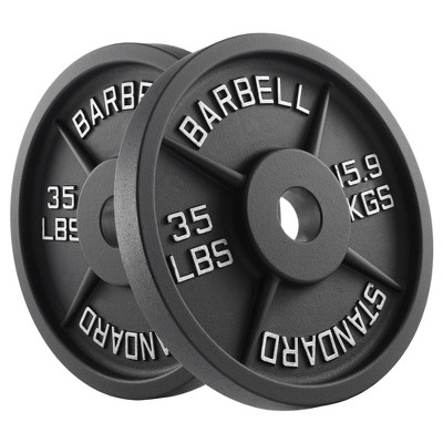 Philosophy Gym Set Of 2 Standard Cast Iron Olympic 2-inch Weight Plates ...
