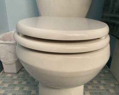 Topseat Tinyhiney Round Potty Seat With Hinges : Target