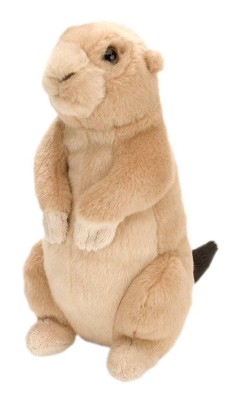 Wild Republic Cuddlekins Mini Prairie Dog Stuffed Animal, 8 Inches : Target