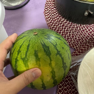 Mini Watermelon - Each : Target