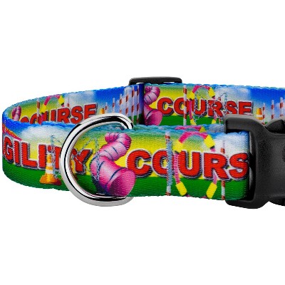 Country Brook Petz Deluxe Agility Collar And Leash Limited Edition (1/2 ...