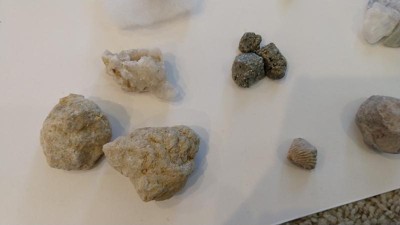 NATIONAL GEOGRAPHIC Rocks & Fossils Kit, 200+ Piece Set with Many ...
