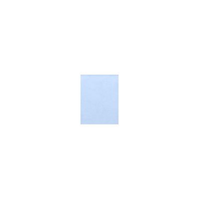 LUX Paper 11" x 17" Baby Blue 1000 Qty (1117-P-13-1M) : Target