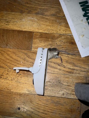 Tomcat 2pk Press 'n Set Mouse Trap : Target