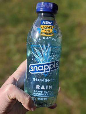 Snapple Elements Rain Agave Cactus Tea - 15.9 Fl Oz Bottle : Target