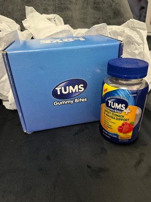 Tums + Upset Stomach & Nausea Support Gummy Bites - Ginger Berry - 45ct ...