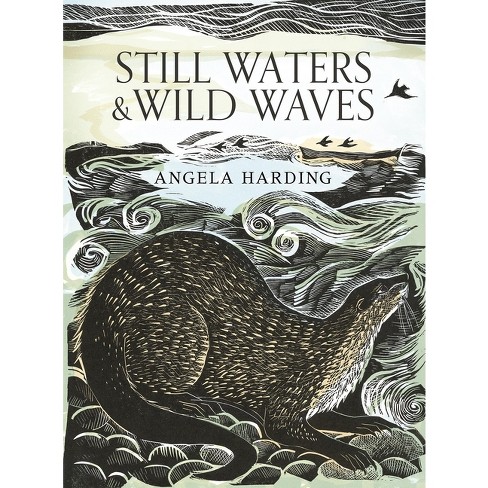 Still Waters & Wild Waves - by Angela Harding (Hardcover) : Target
