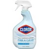 Clorox Free & Clear Multi-surface Cleaner - 32oz : Target