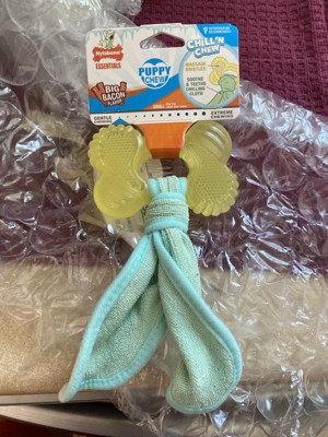 Nylabone Puppy Chew Freezer Bone Toy - Bacon : Target