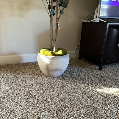 72" Artificial Ficus Tree - Threshold™ Designed With Studio Mcgee : Target